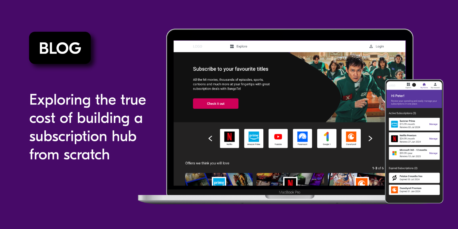 Bango DVM CX: exploring the true cost of building a subscription hub from scratch - Bango